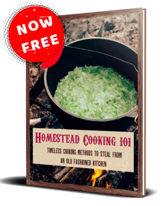 The Lost Frontier Handbook: Discovering Ancient Survival Techniques for ...